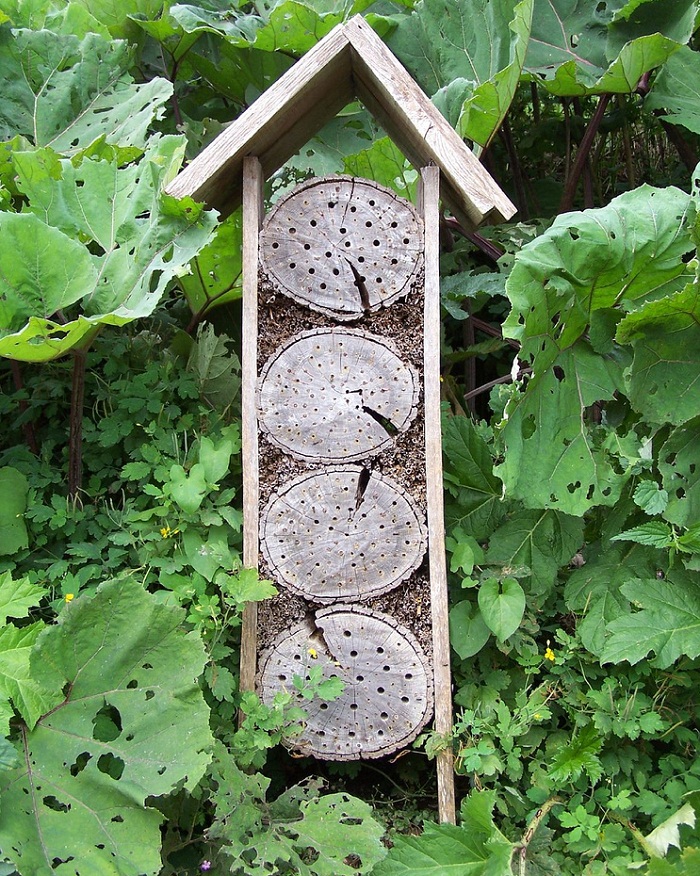 Insect Hotel • Insteading